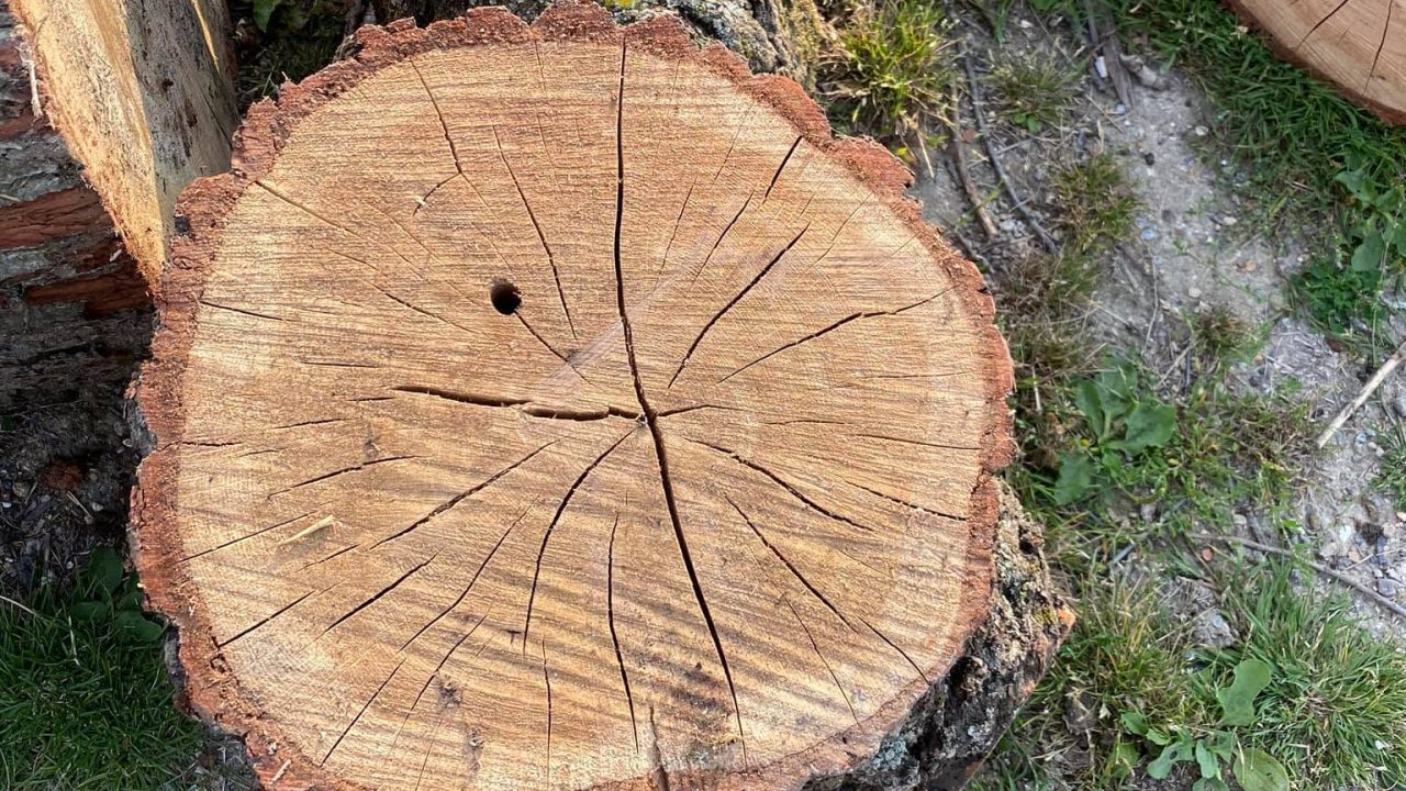 Educational Programme – Outdoor Classroom | Animal Antiks