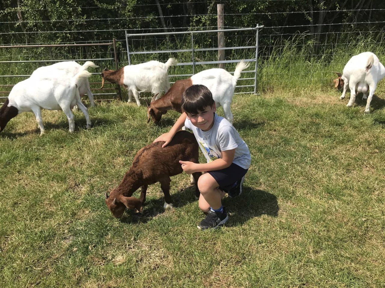 Educational Programme – Outdoor Classroom | Animal Antiks